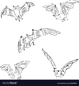 Amazing Bat Pencil Drawing Ideas Bats In Different Positions Pencil ...