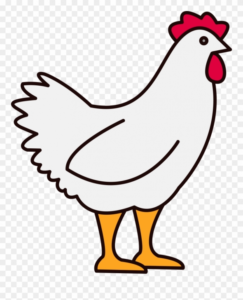 Awesome Hen Pencil Drawing Step by Step Clipart Of Hen India Pencil And ...