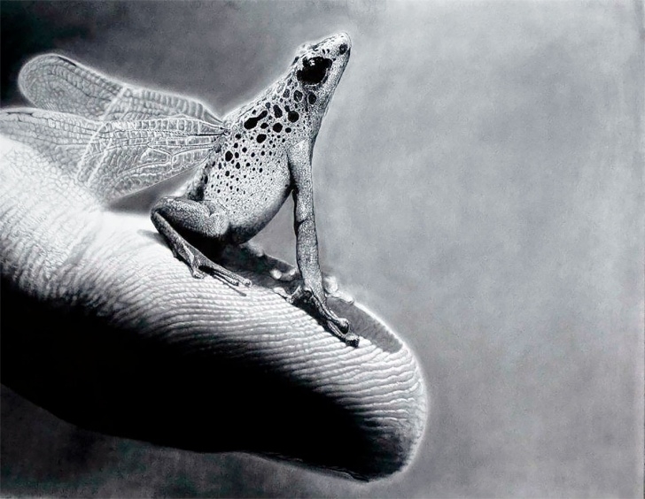 Jono Dry Art | ProDrawingClub - Pencil Art Drawing