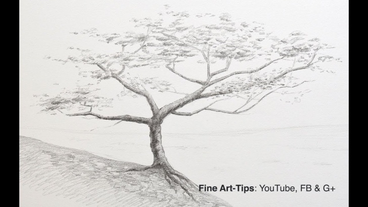 Tree Pencil Sketch | ProDrawingClub - Pencil Art Drawing