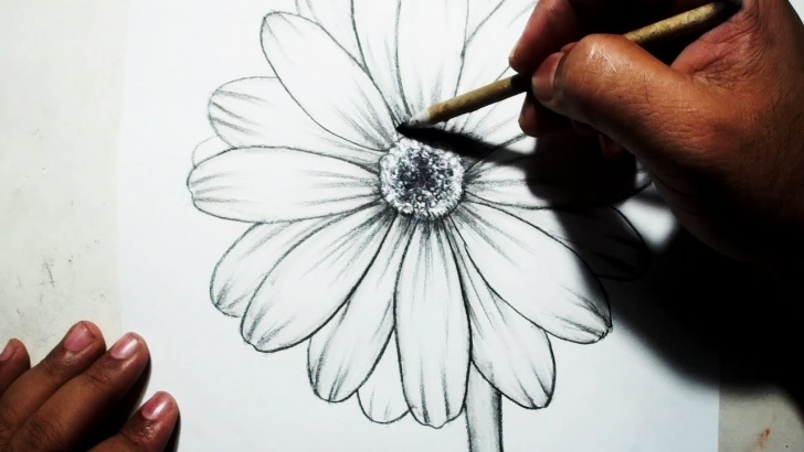 Gorgeous Pencil Drawings Of Flowers Free How To Draw A Flower | Easy ...
