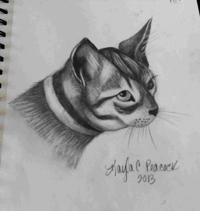 Incredible Shading Drawing Of Animals for Beginners Collection Pencil ...