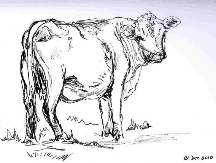 Interesting Cow And Calf Pencil Drawing Ideas Cow And Calf Pencil ...