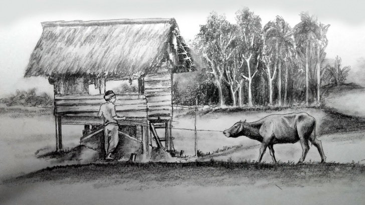 Farmer Pencil Drawing | ProDrawingClub - Pencil Art Drawing