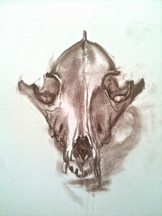 Popular Tinted Charcoal Drawings Step by Step Tinted Charcoal | Janet E ...