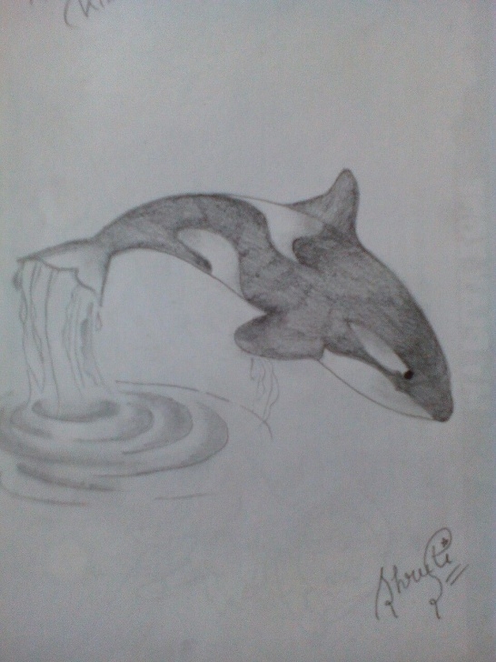 Pencil Shading Drawing For Beginners Prodrawingclub Pencil Art Drawing