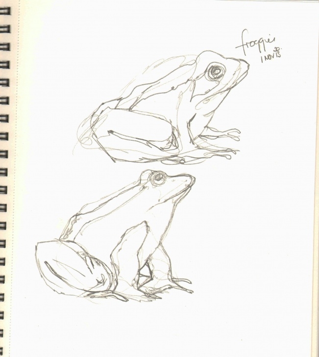 Pencil Sketch Of Frog | ProDrawingClub - Pencil Art Drawing