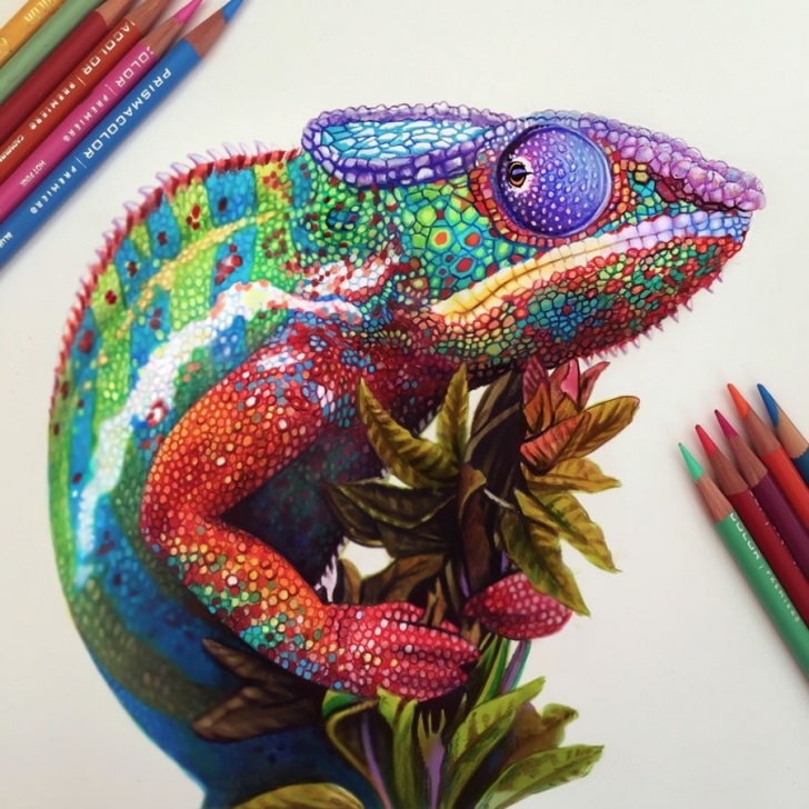 The Best Prismacolor Pencil Drawings Free Exquisite Colored Pencil ...