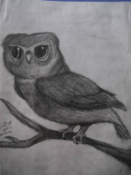 Weird Pencil Drawings | ProDrawingClub - Pencil Art Drawing