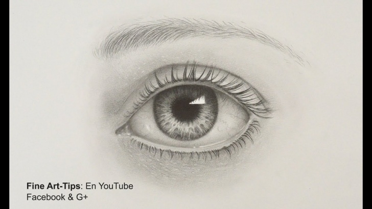 Fine Pencil Art | ProDrawingClub - Pencil Art Drawing