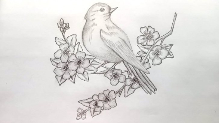The Complete Pencil Drawings Step By Step Techniques How To Draw A Bird ...