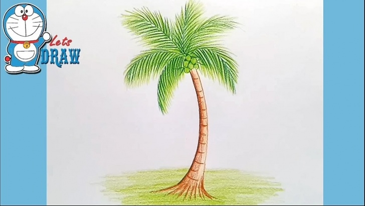 Incredible Coconut Tree Pencil Drawing Step by Step How To Draw A ...