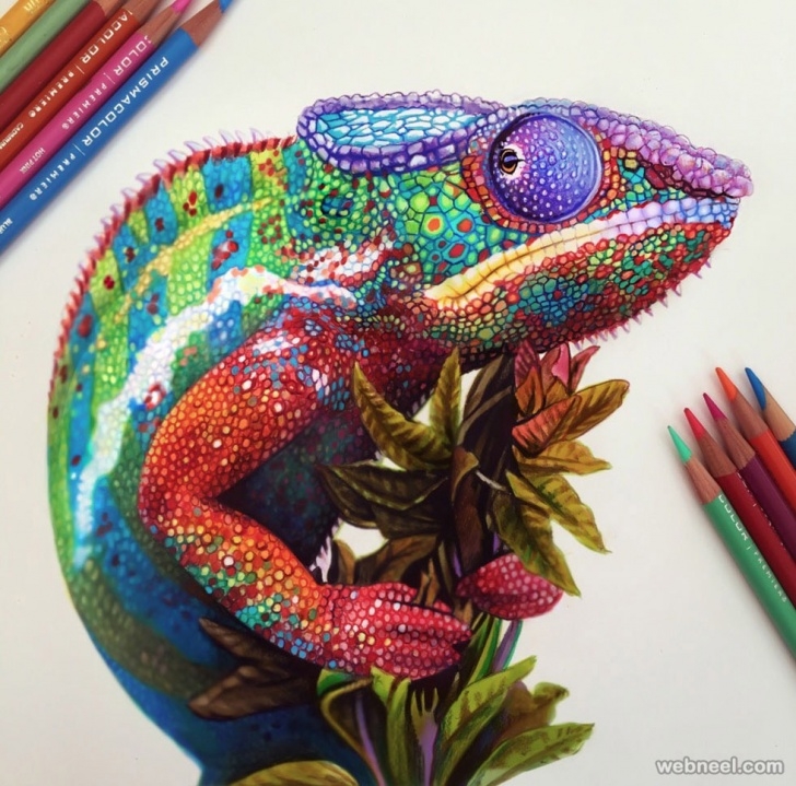 Amazing Colored Pencil Drawings | ProDrawingClub - Pencil Art Drawing