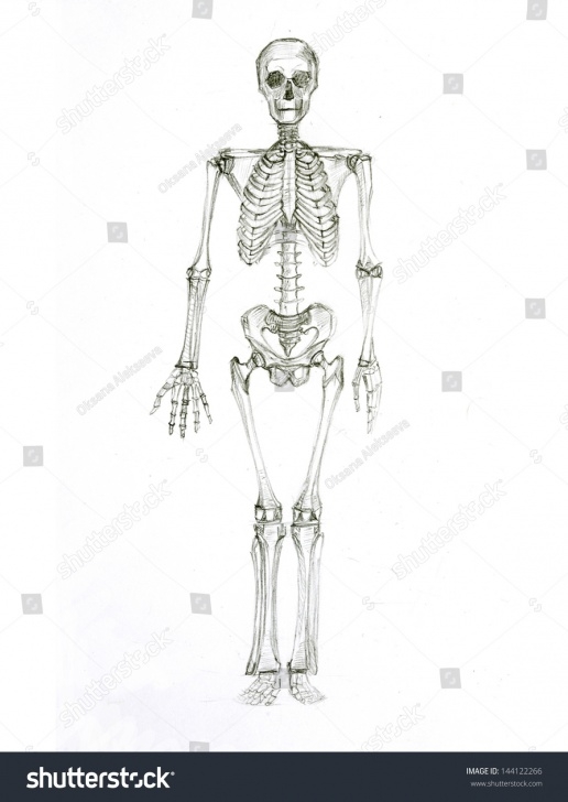 Top Skeleton Pencil Drawing Techniques for Beginners Pencil Sketch ...